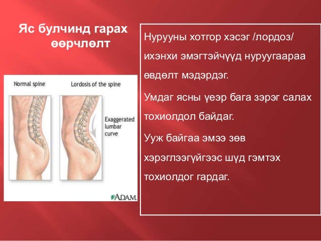 4 Жирэмсэн үед гарах физиологийн өөрчлөлтүүд