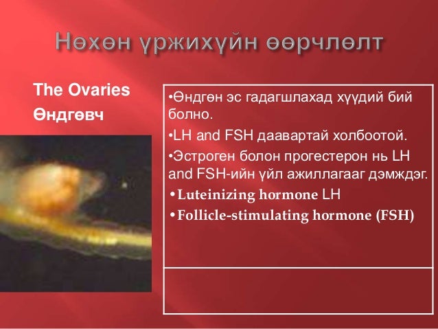 4 Жирэмсэн үед гарах физиологийн өөрчлөлтүүд