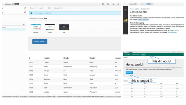 IBM Digital Experience Theme Customization | PPT