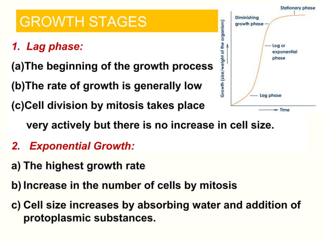 Biology Form 5 Chapter 4 - 4.6 Growth in multicellular organisms | PPT