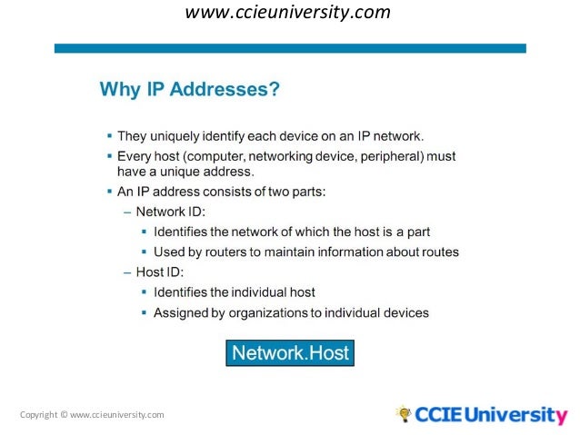 understanding the tcp ip internet layer