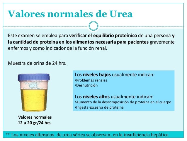 metabolismo aminoacidos