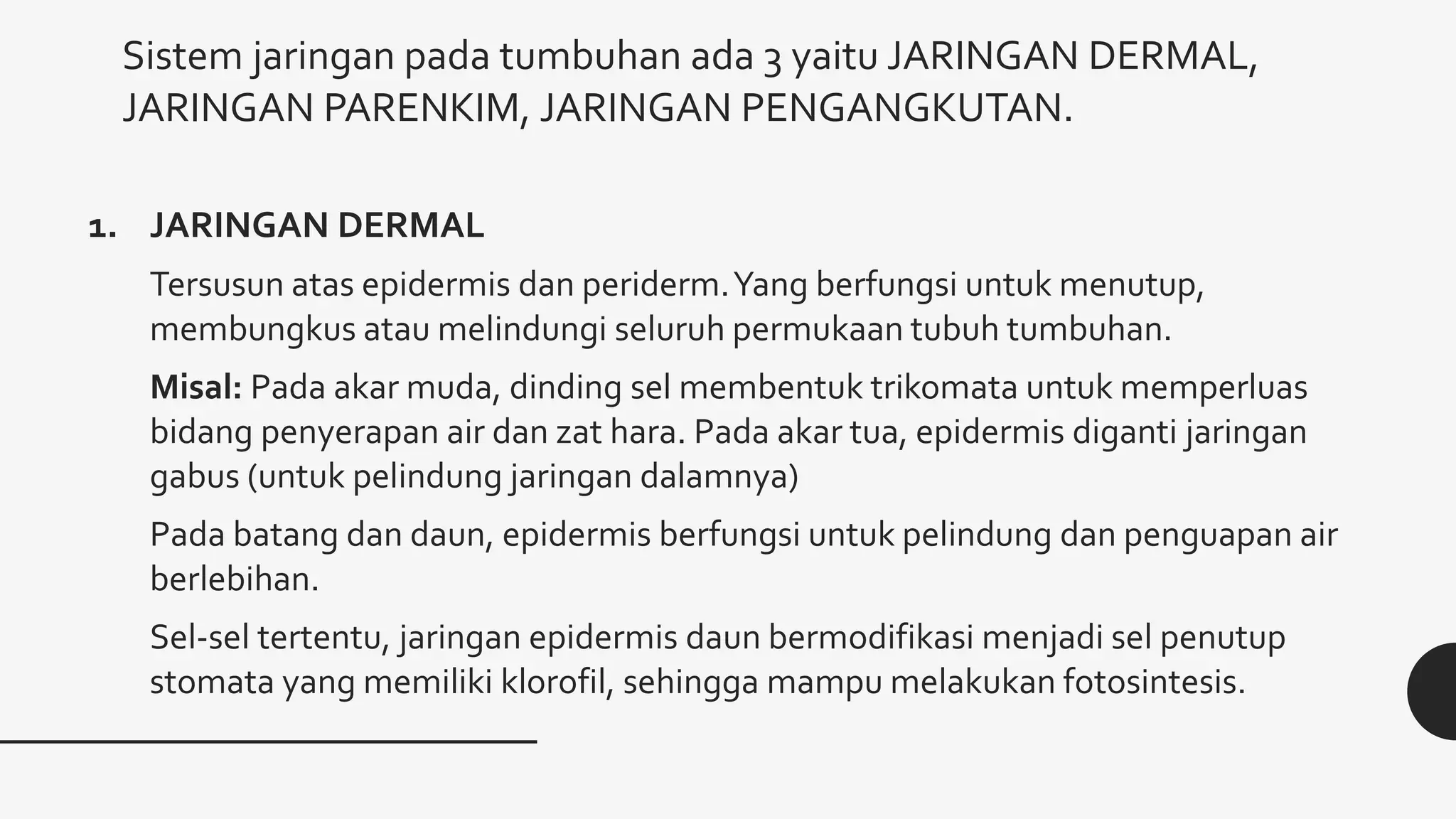 Bunga dan buah Kelas XI | PPTX