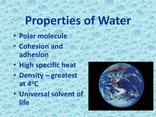 Properties of water and aqueous solutions | PPTX