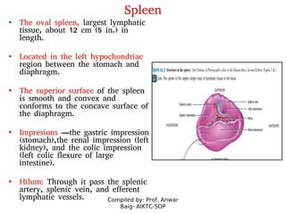 4.lymphatic system | PDF