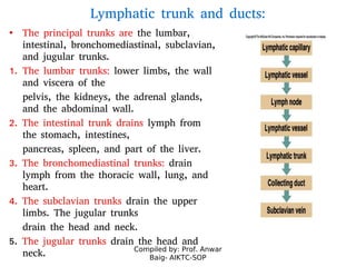 4.lymphatic system | PDF