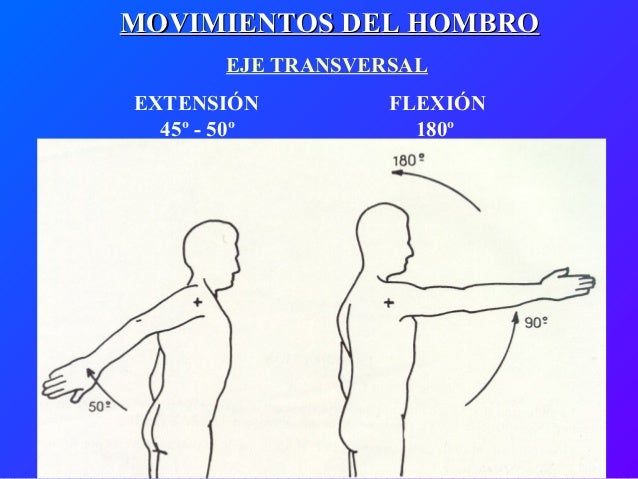 Analisis De Movimiento Flexion De Hombro