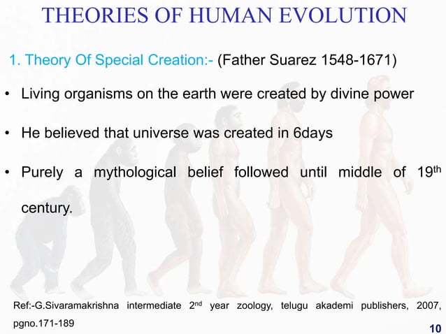 4.human evolution | PPTX | Geology | Science