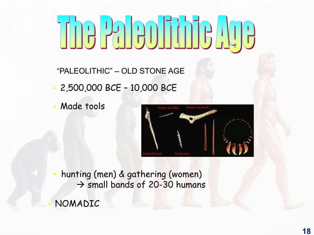 4.human evolution | PPTX | Geology | Science