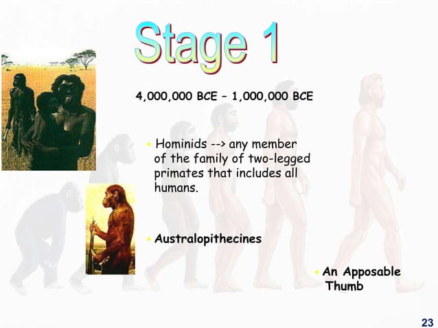 4.human evolution | PPTX | Geology | Science