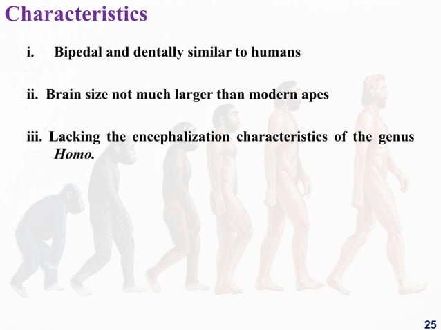 4.human evolution | PPTX | Geology | Science
