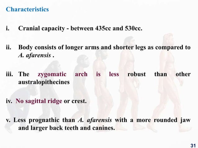 4.human evolution | PPTX | Geology | Science