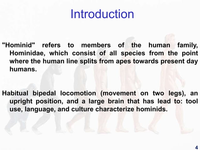 4.human evolution | PPTX | Geology | Science