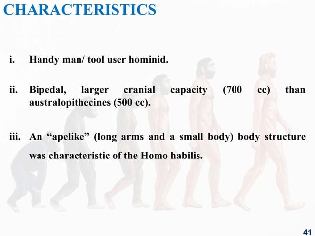 4.human evolution | PPTX | Geology | Science