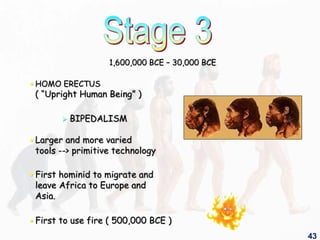 4.human evolution | PPTX