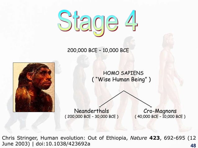 4.human evolution | PPTX | Geology | Science
