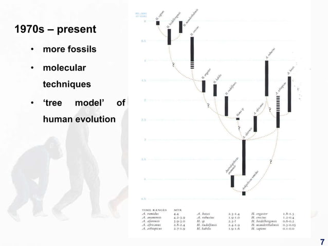 4.human evolution | PPTX | Geology | Science
