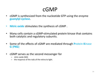 4.ion channels & secondary messengers | PPTX