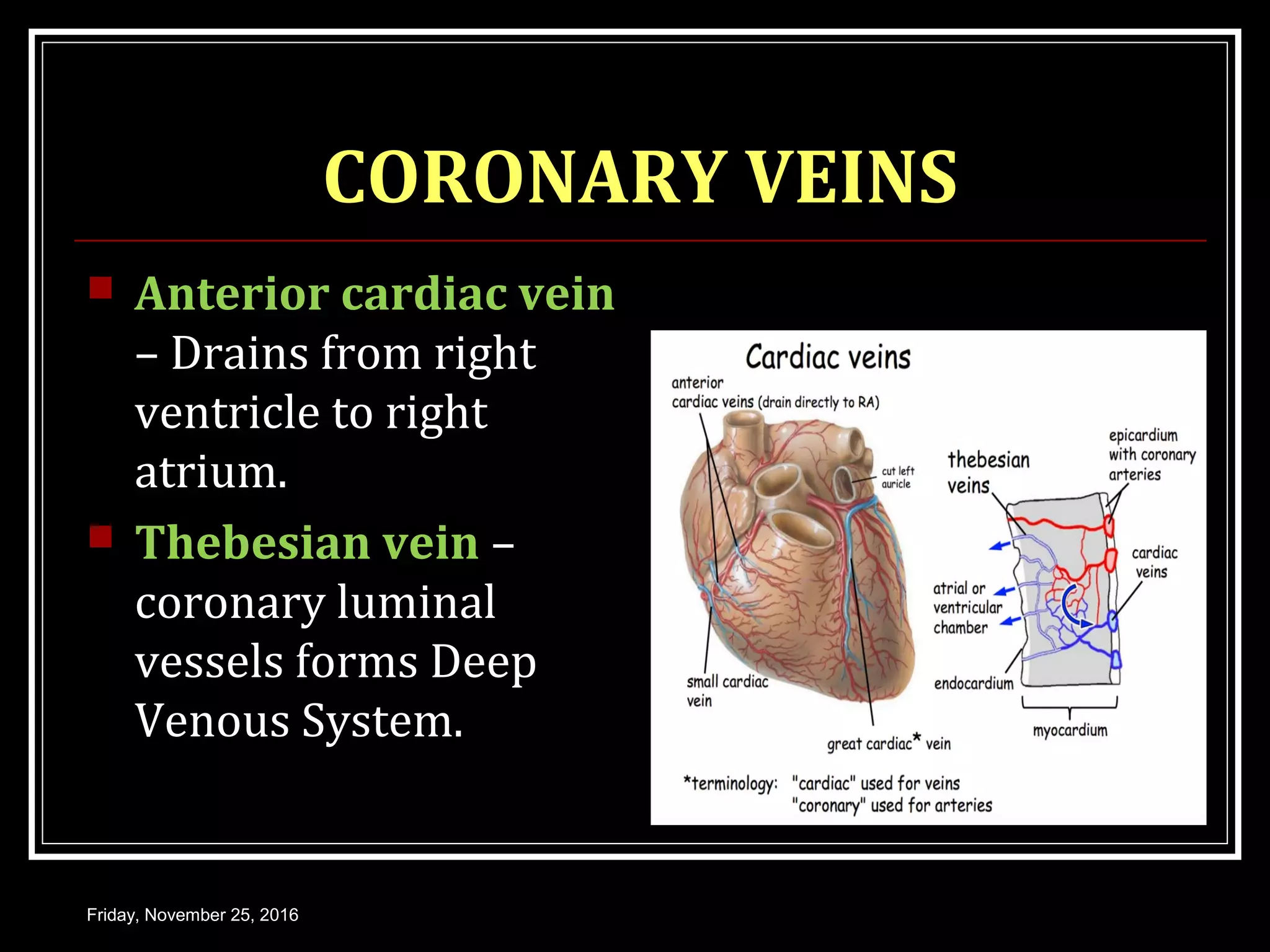 CORONARY CIRCULATION | PPT