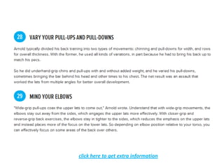 31 Arnold-Approved Training Tips | PDF