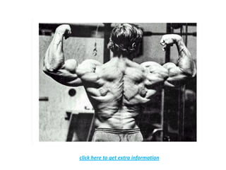 31 Arnold-Approved Training Tips | PDF