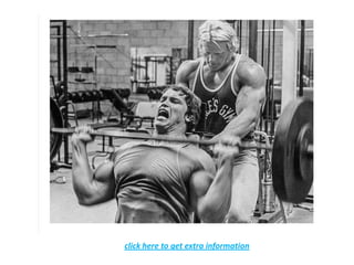 31 Arnold-Approved Training Tips | PDF