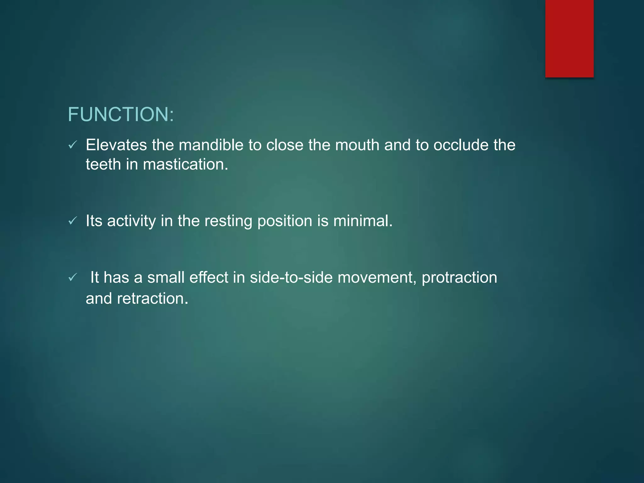 Muscles of Mastication | PPTX