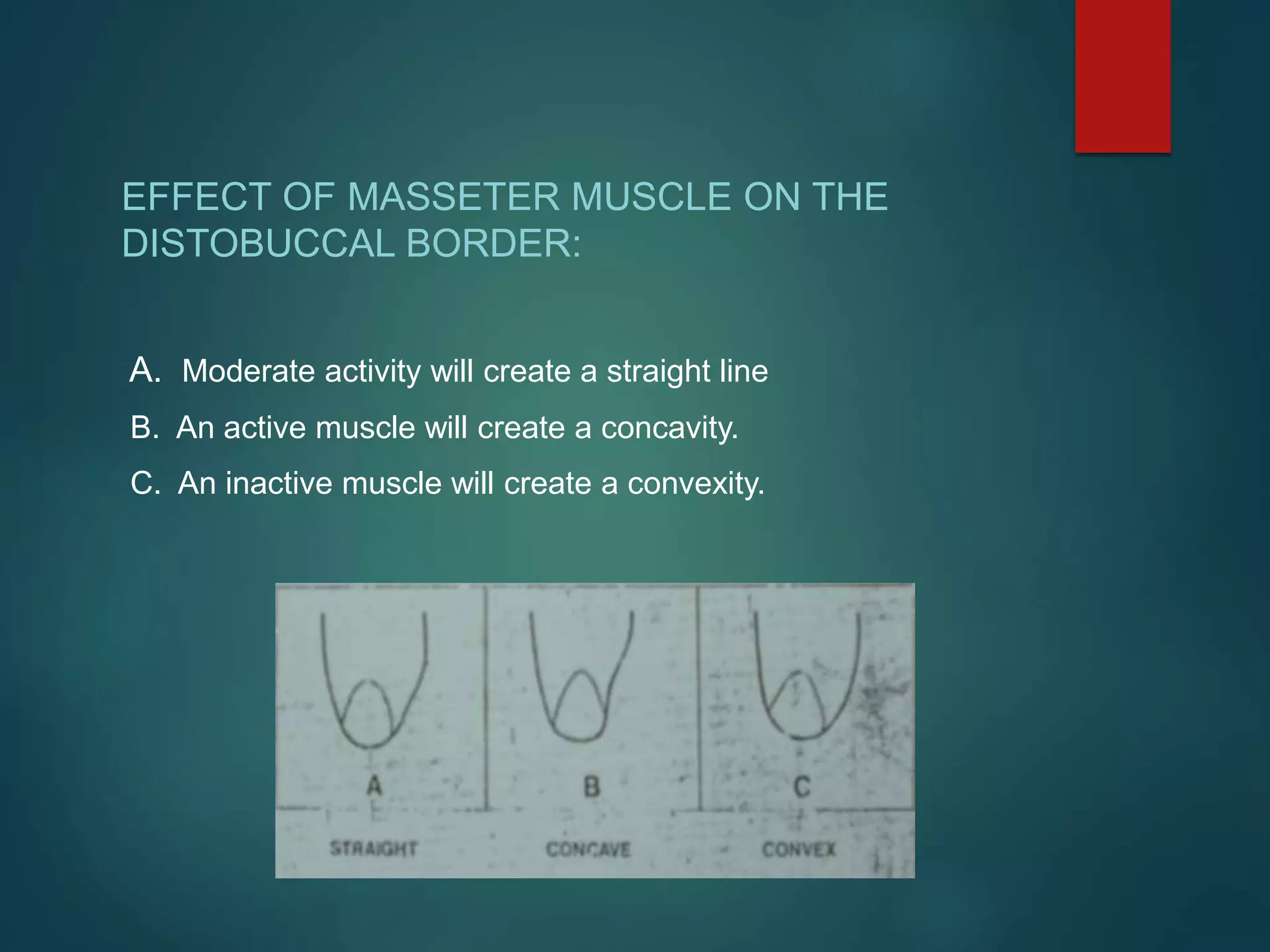 Muscles of Mastication | PPTX