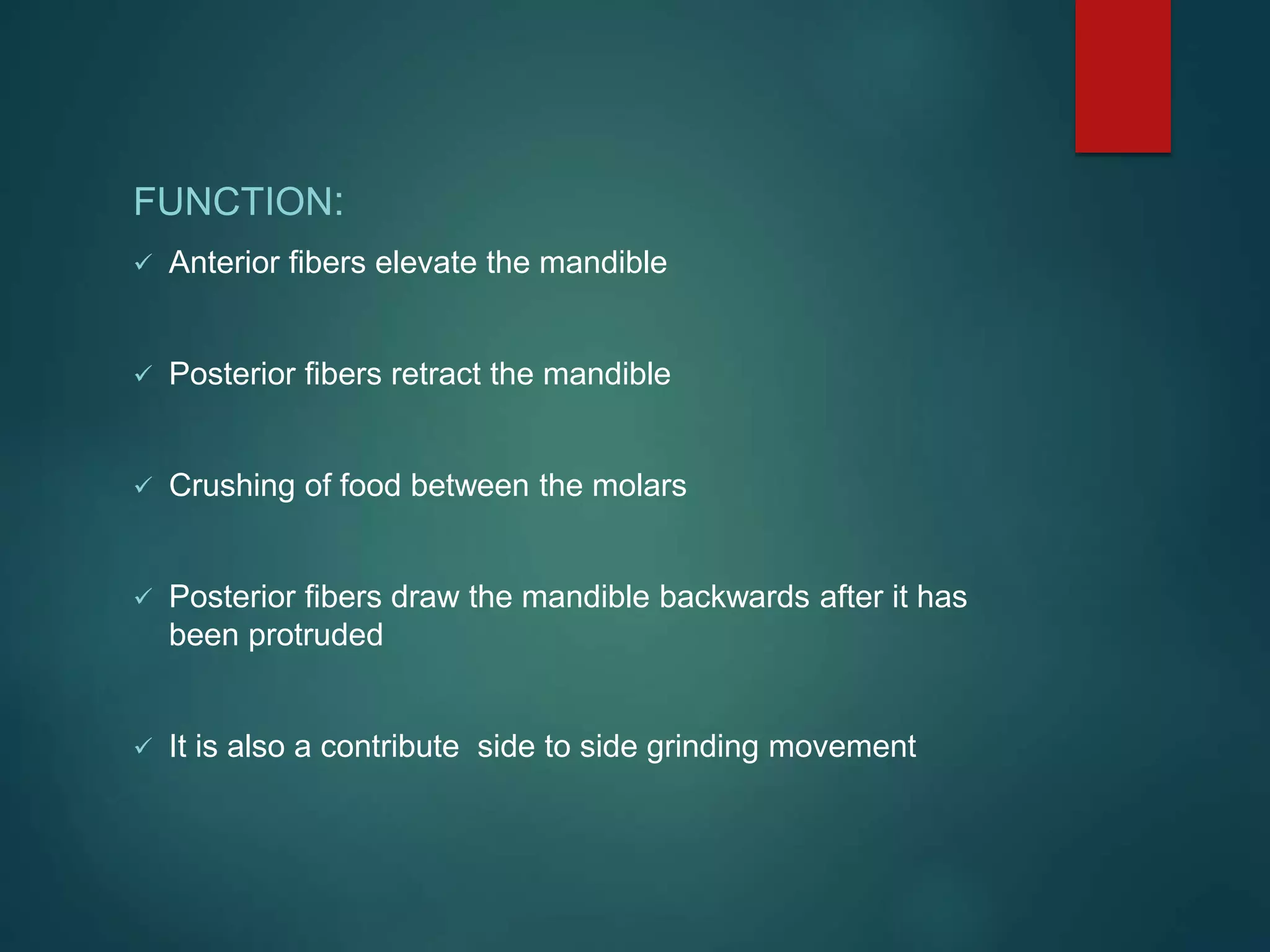 Muscles of Mastication | PPTX