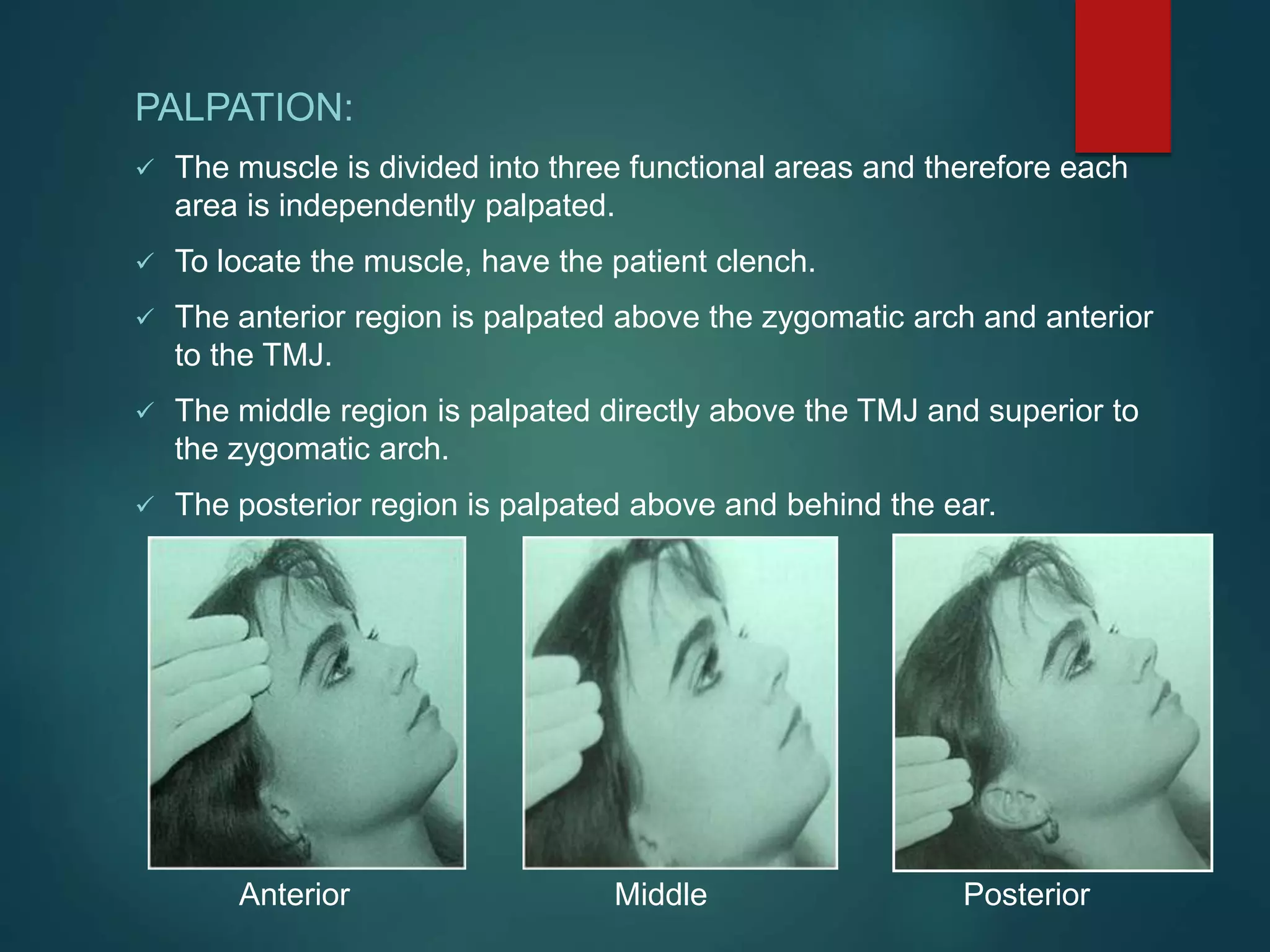 Muscles of Mastication | PPTX