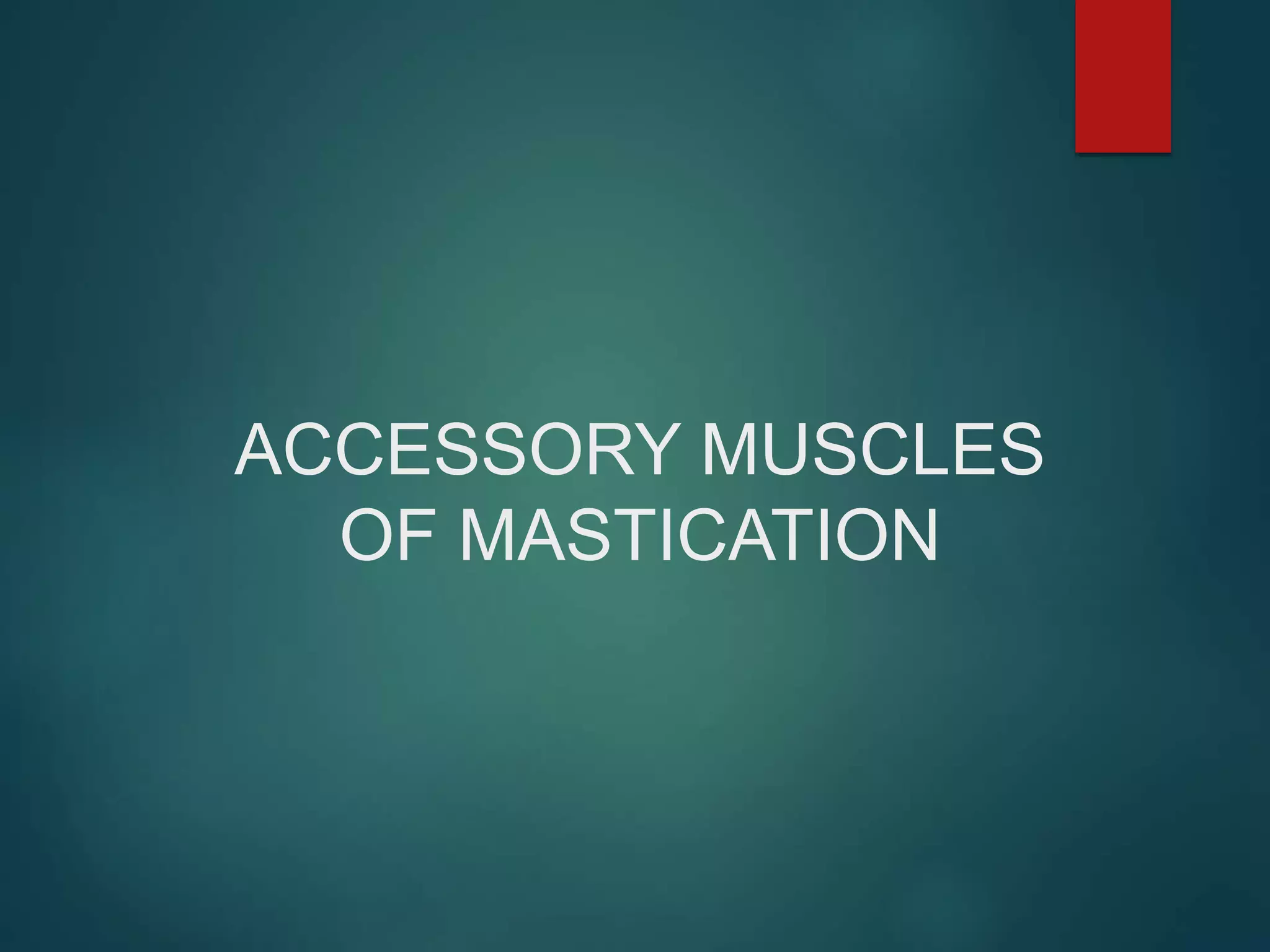 Muscles of Mastication | PPTX