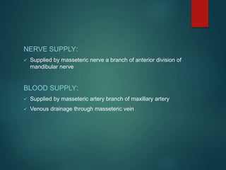 Muscles of Mastication | PPTX