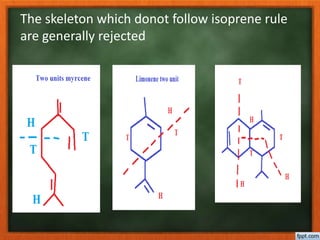 4.isoprene rule | PPTX