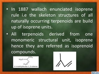 Isoprene Units