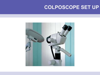 Xavier Carcopino - Training the trainers | PPT