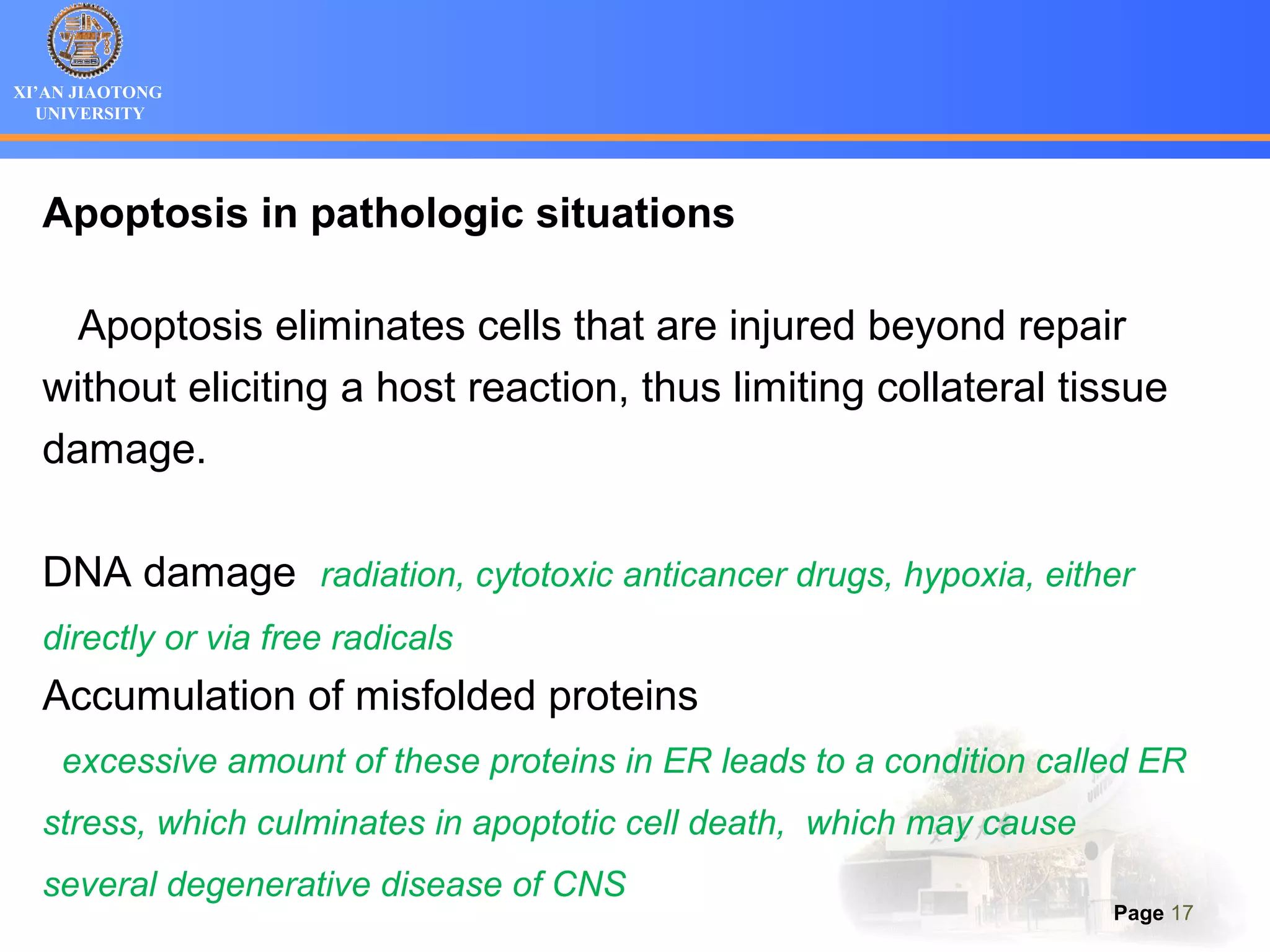4.pathology apoptosis2016 | PPT