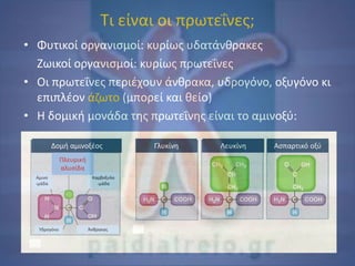Πρωτεΐνες και διατροφή | PPT