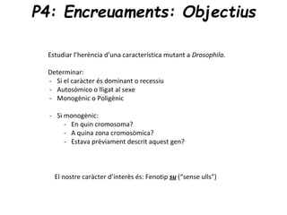 Practicas Análisis genetica | PDF