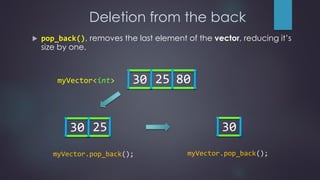 Vector | PDF