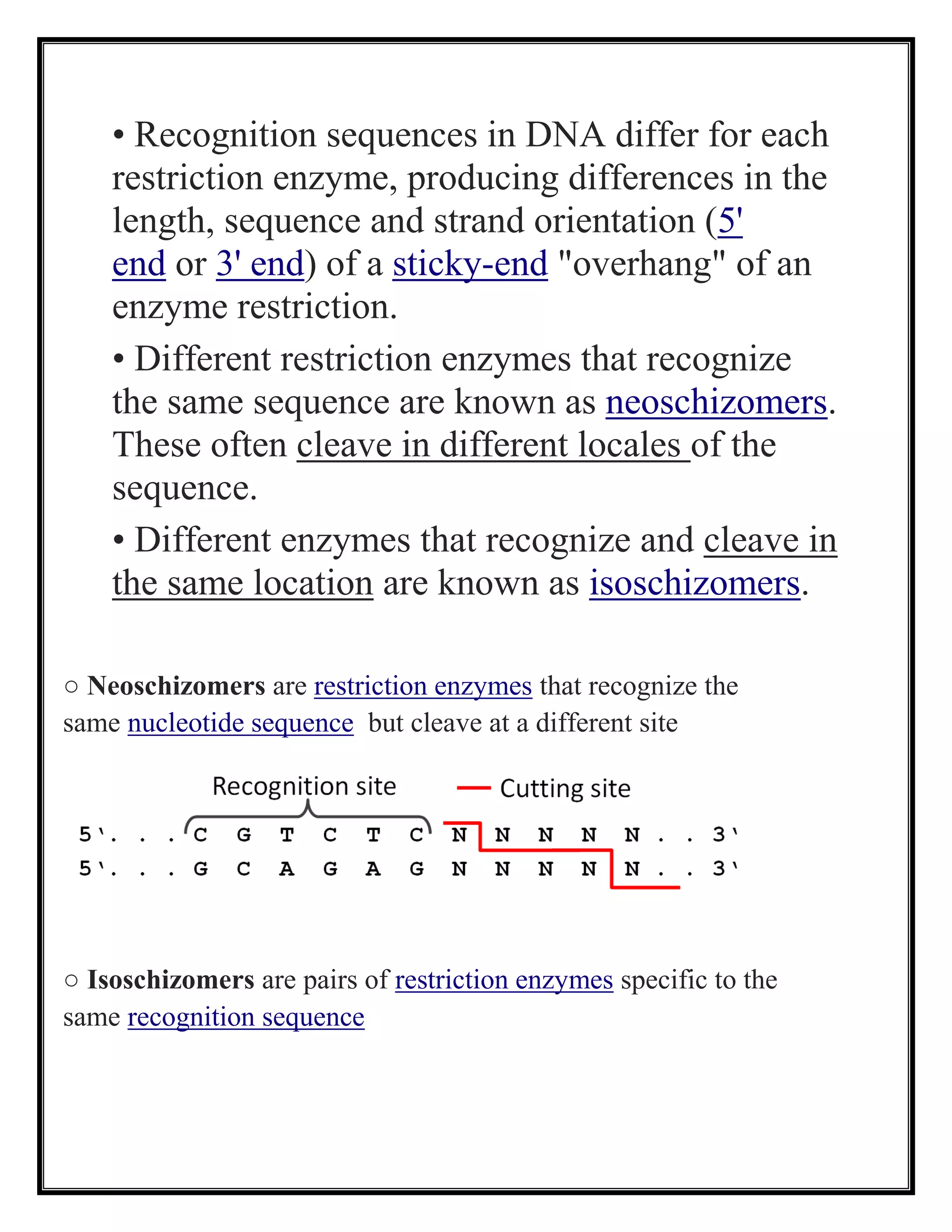 Restriction Enzymes | PDF