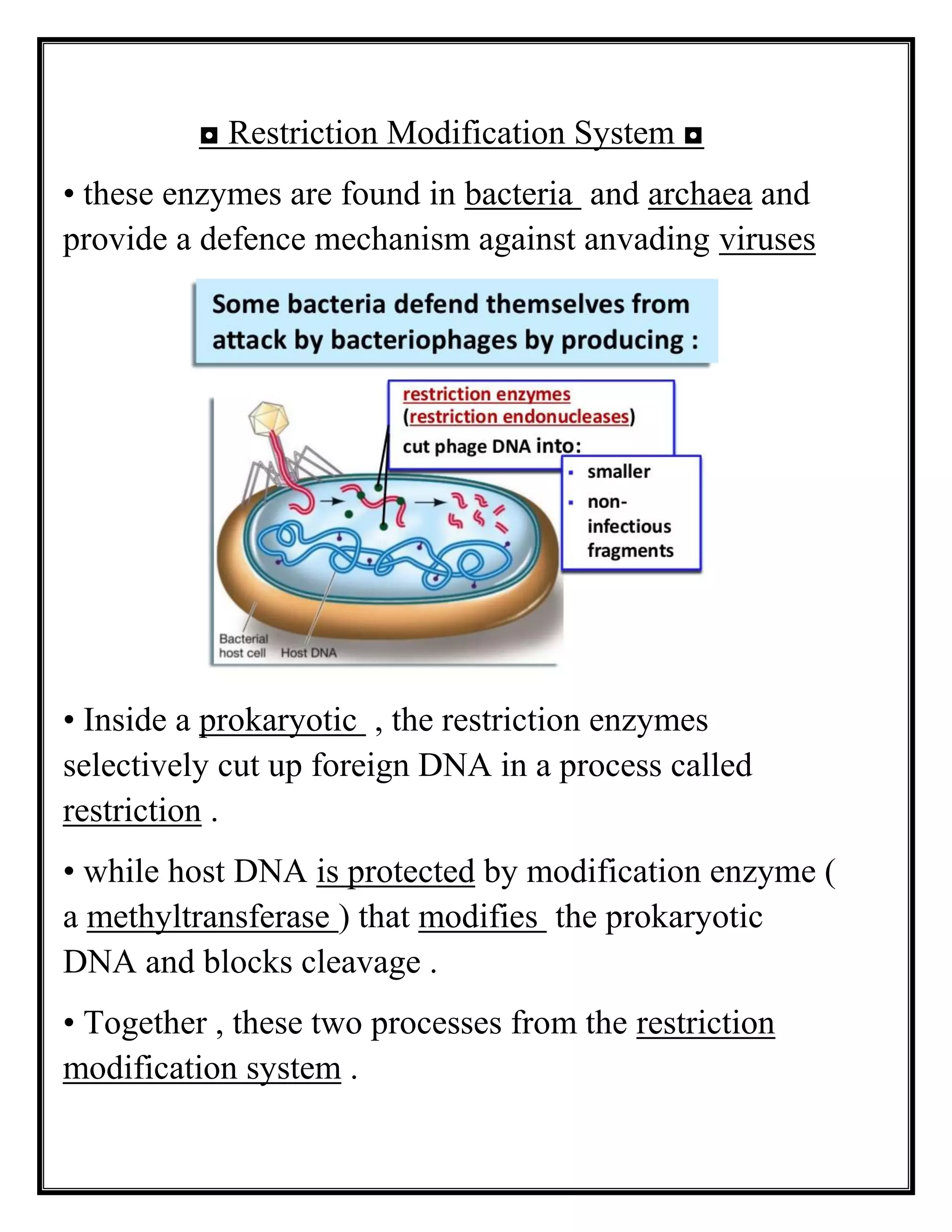 Restriction Enzymes | PDF