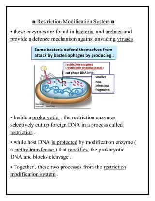 Restriction Enzymes | PDF