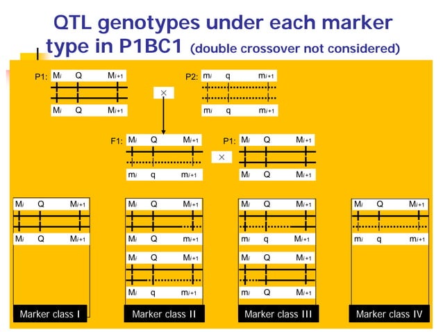 Jiankang Wang. Principle of QTL mapping and inclusive composite ...