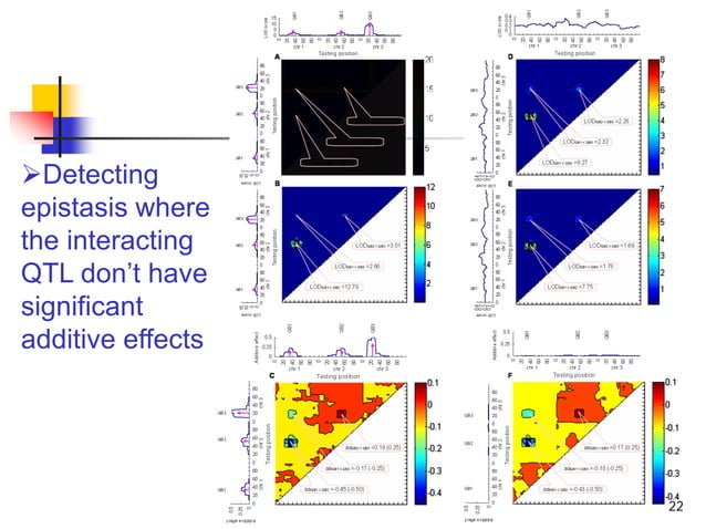 Jiankang Wang. Principle of QTL mapping and inclusive composite interval mapping (ICIM) | PDF ...