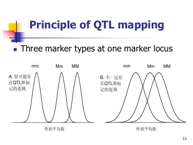 Jiankang Wang. Principle of QTL mapping and inclusive composite inter…