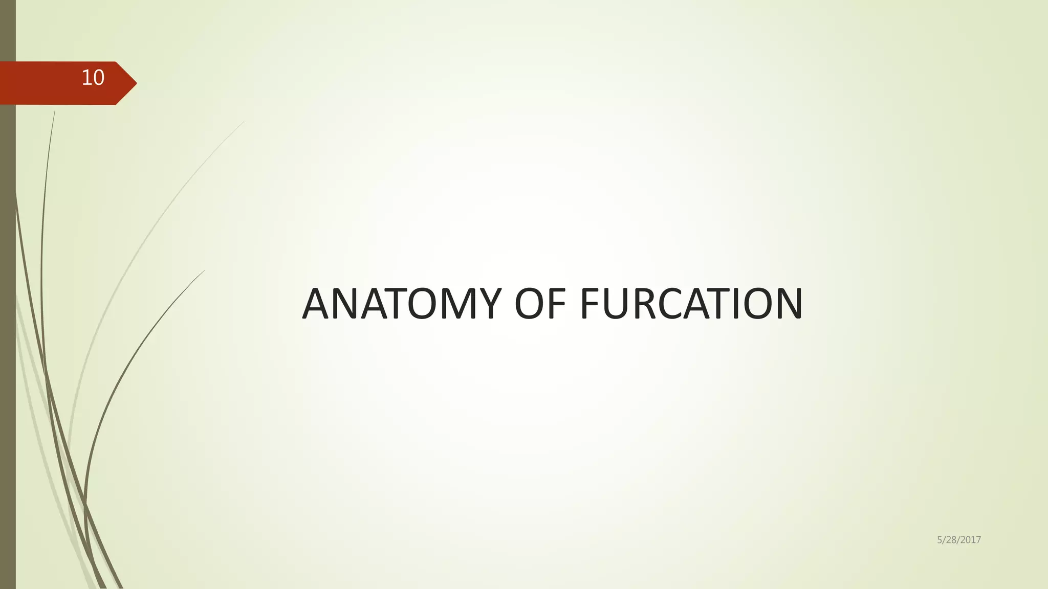 4.furcation involvement and its treatment | PPTX