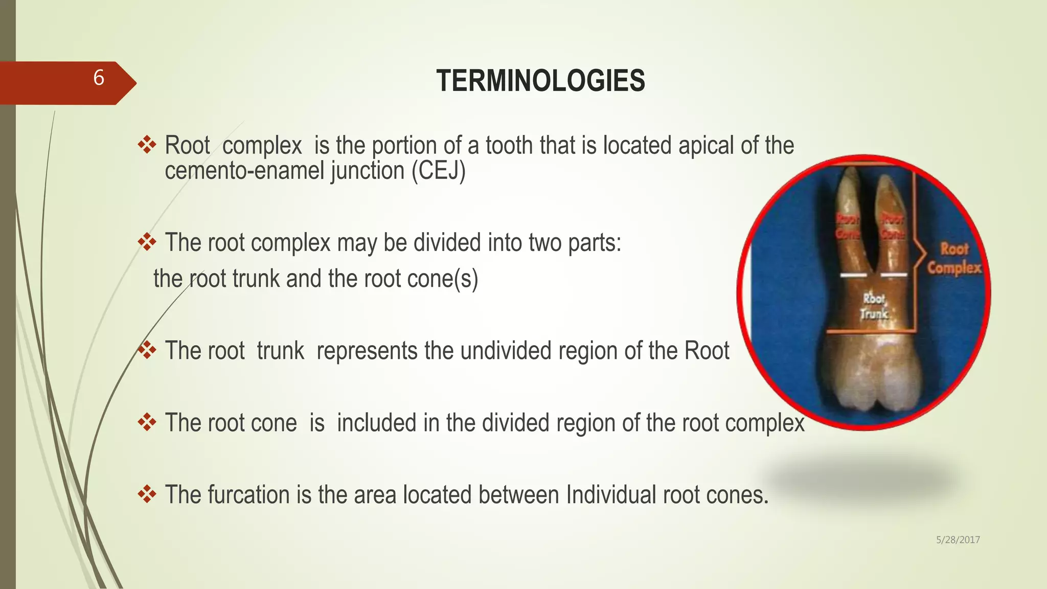 4.furcation involvement and its treatment | PPTX