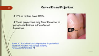 Cervical Enamel Projection