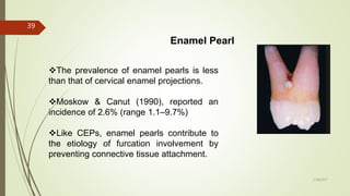 Cervical Enamel Projection