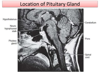 4. pituitary hormones and their control by hypothalamus | PPTX